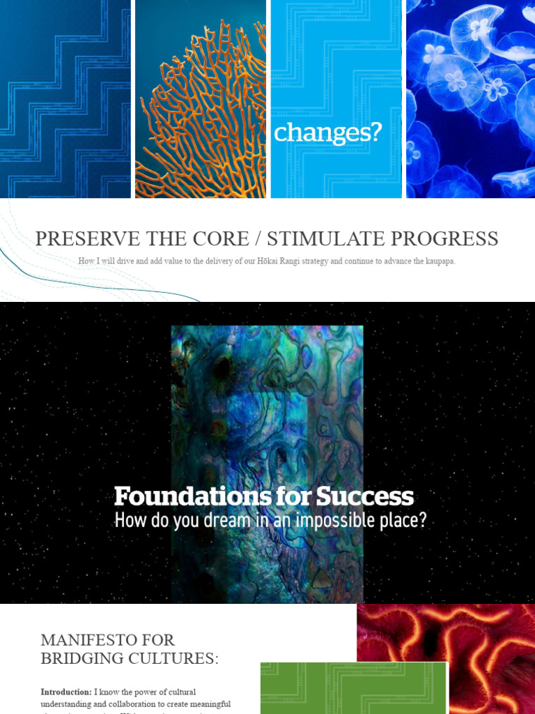 Preserving The Core Proposal v0 | PDF | Leadership | Strategic Planning