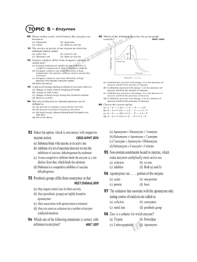 ETS and Enzymes Worksheet | PDF