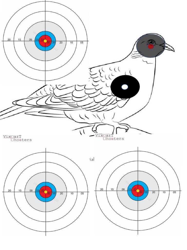 Sasaran Tembak Bentuk Burung | PDF