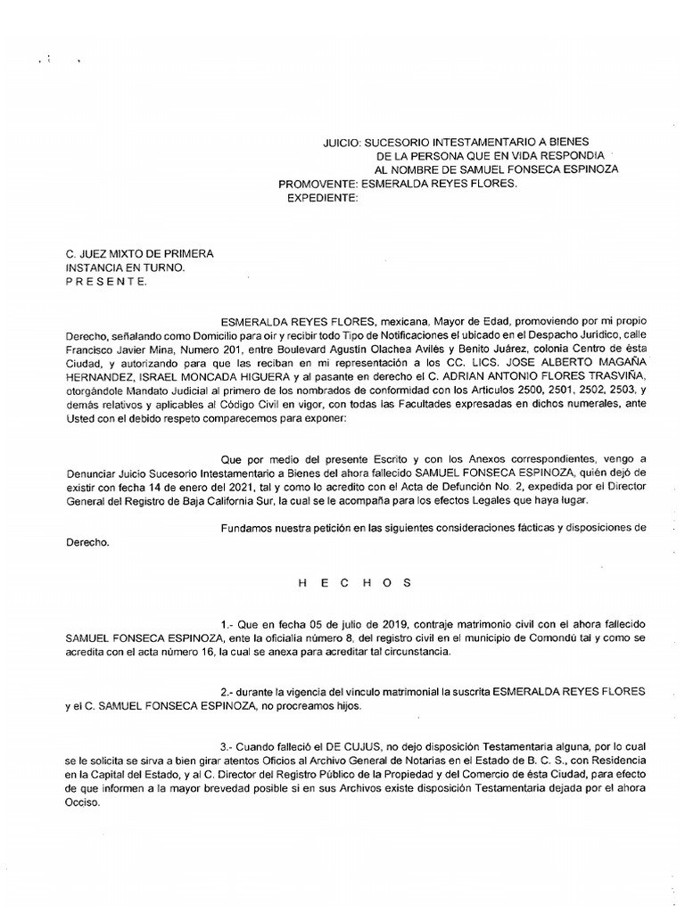 Formato de Demanda 01 | PDF