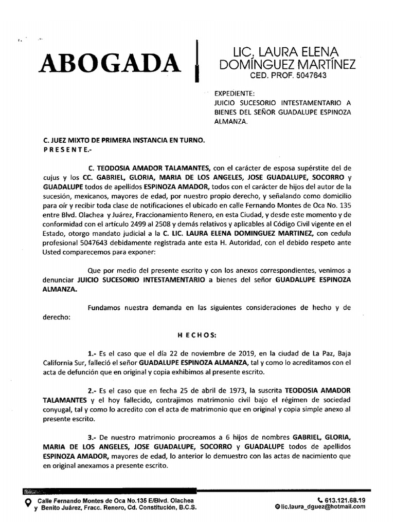 Formato de Demanda 03 | PDF