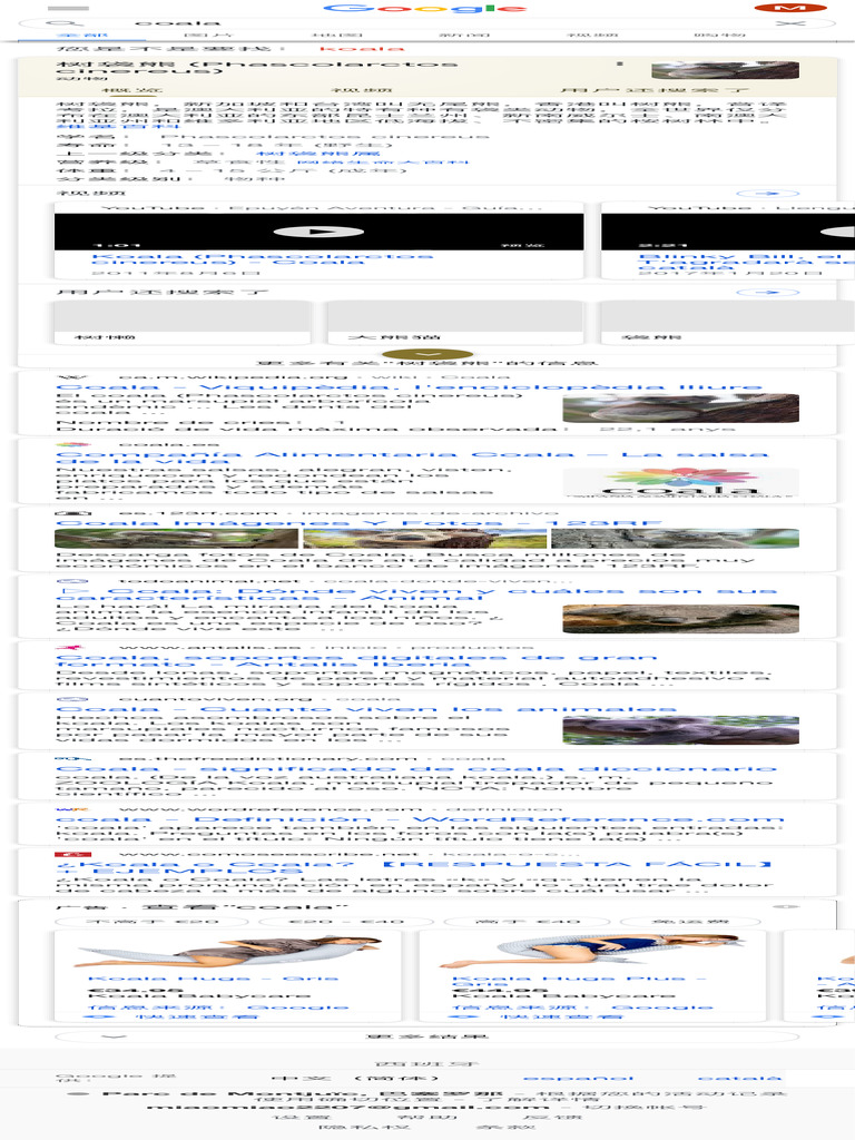Coala - Google 搜索 | PDF | Coala | Órdenes de mamíferos