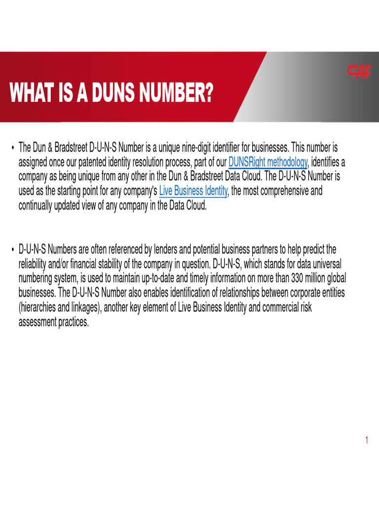 Understanding the D-U-N-S Number | PDF | Credit History | Information
