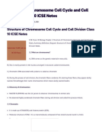 Grade 10 Mitosis Notes | PDF | Mitosis | Meiosis
