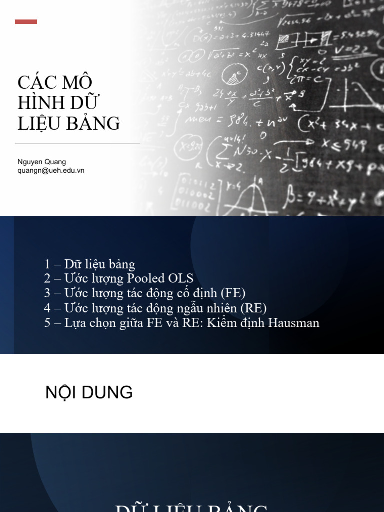 Lecture 14 - Panel Data Models Vi | PDF
