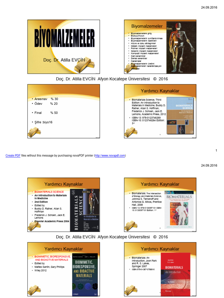 Giris Pdf
