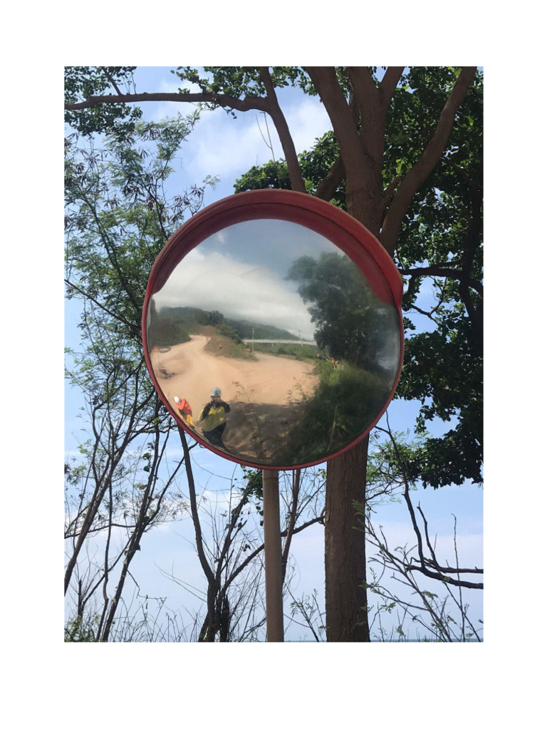 Mirror Pdf