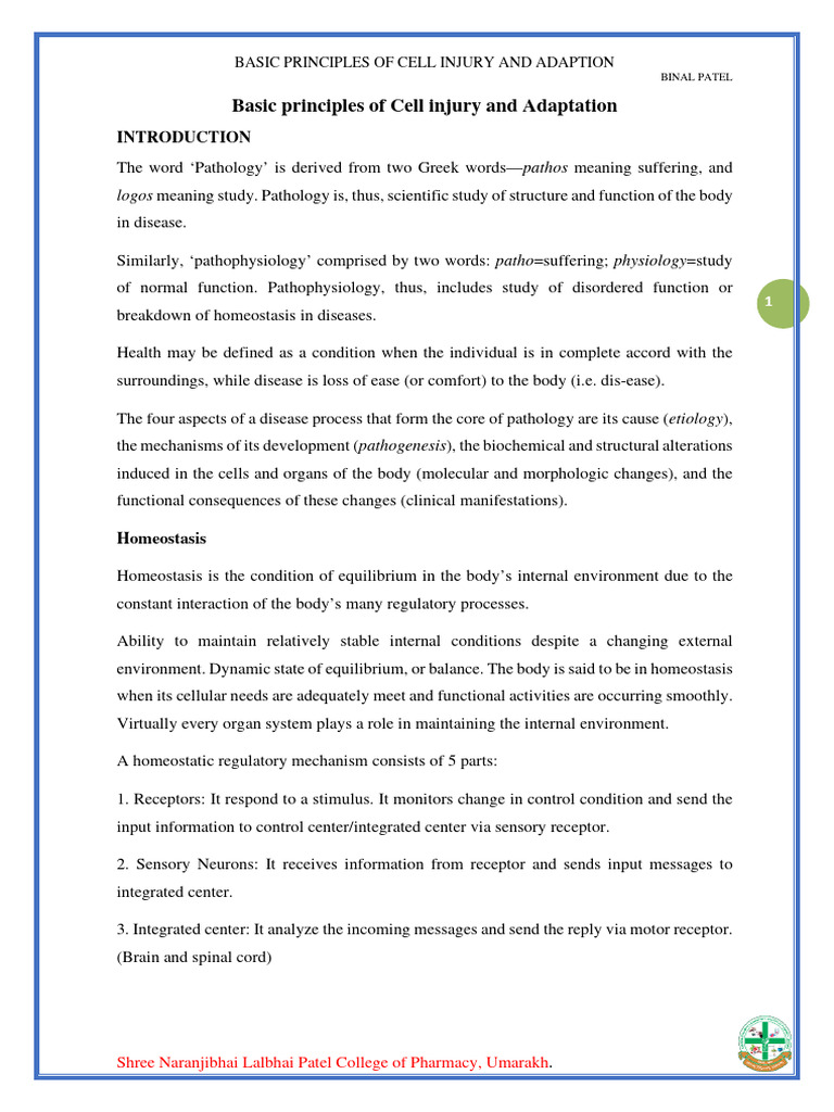 Basic Principle of Cell Injury and Adaption-Binal | PDF | Necrosis ...