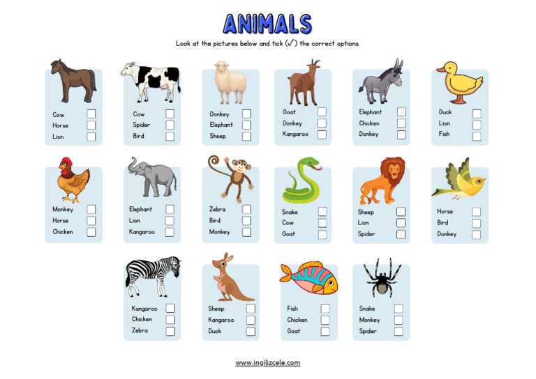 Animals Worksheet PDF | PDF
