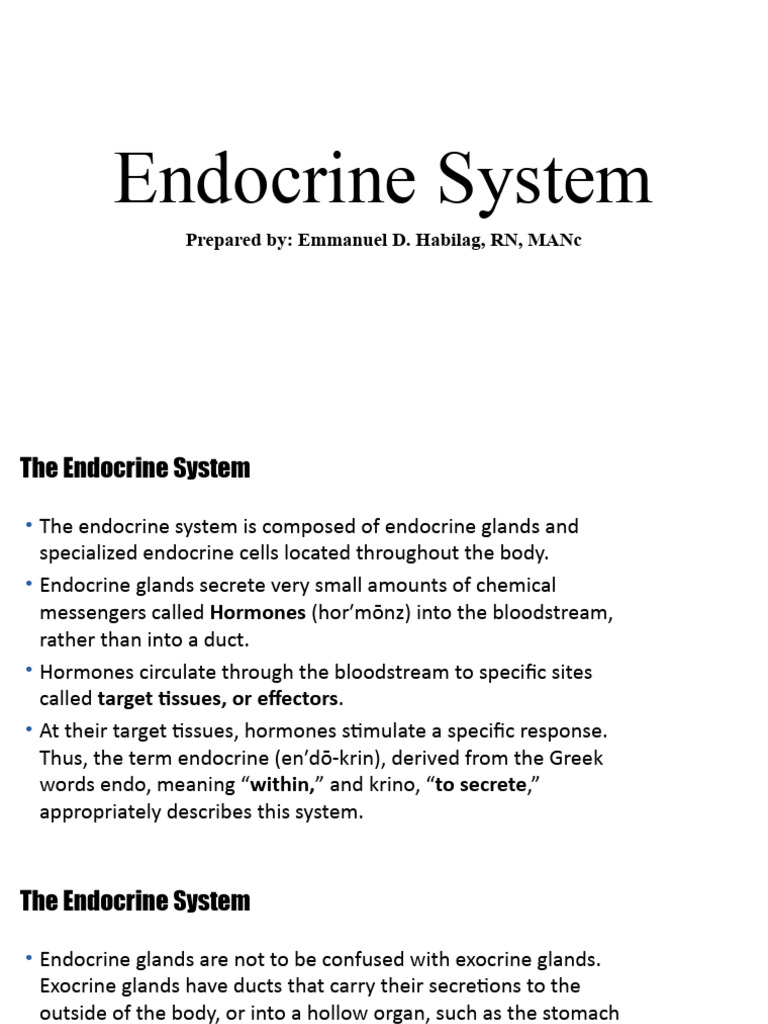 Endocrine System | Download Free PDF | Adrenal Gland | Endocrine System