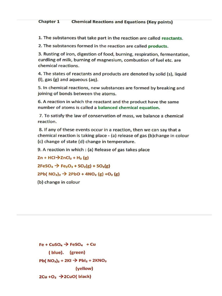 Chapter 1 Important Points | PDF