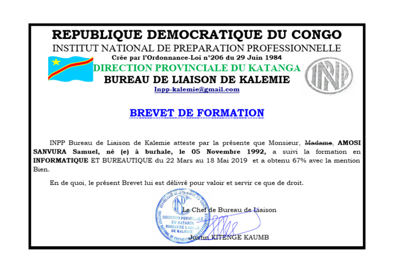 Brevet de formation en informatique INPP | PDF