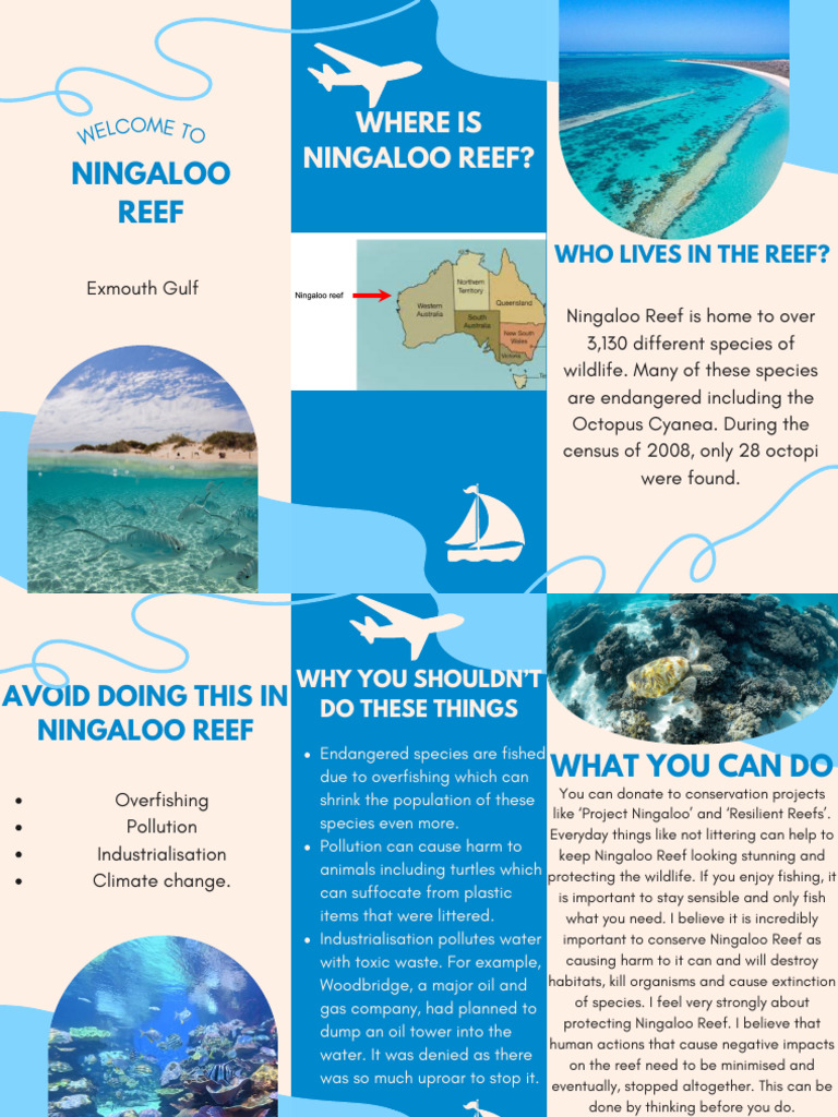 Ningaloo reef - Pamphlet | PDF | Coral Reef | Endangered Species