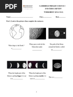 P - Science - 2 - Worksheets - Unit 1 | PDF | Trees
