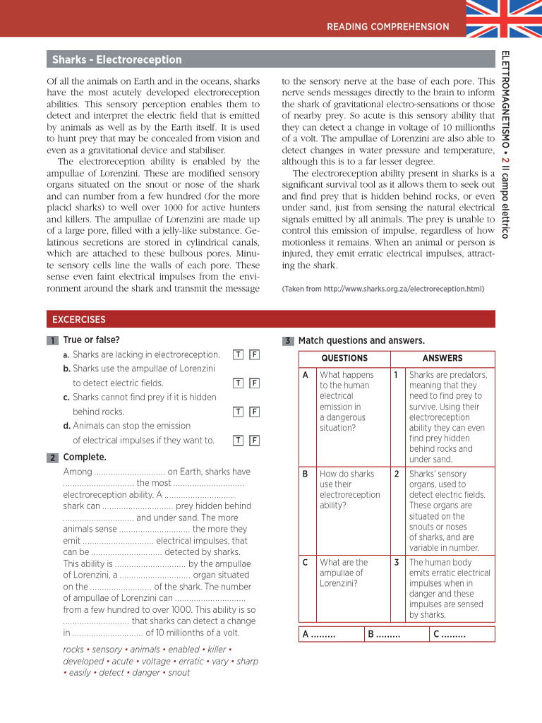 Sharks Electroreception | Download Free PDF | Sharks | Zoology