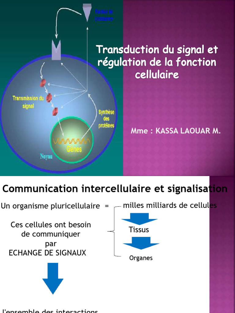 Communication et Signalisation Cellulaire | PDF | Signalisation ...