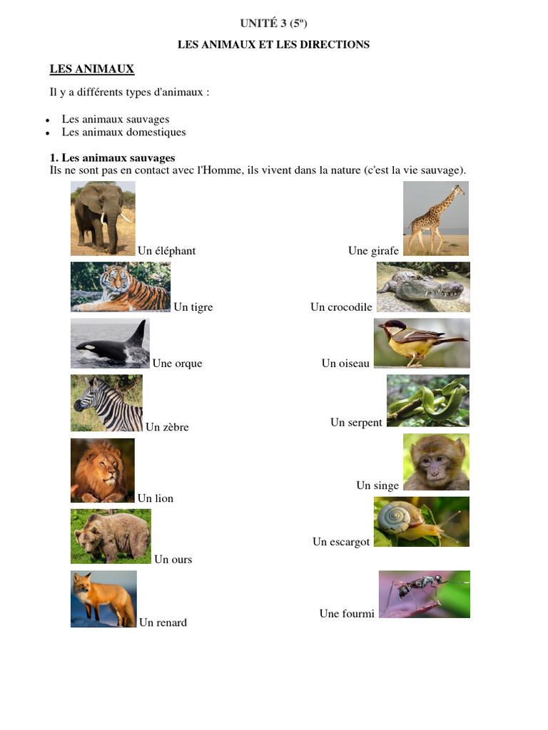 Animaux et Directions en Français | PDF | Domestication | Zoologie