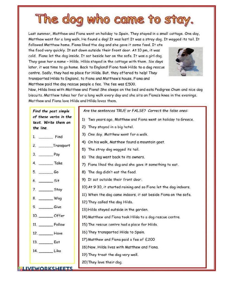 READING PRACTICE- ENGLISH NIGHT | PDF