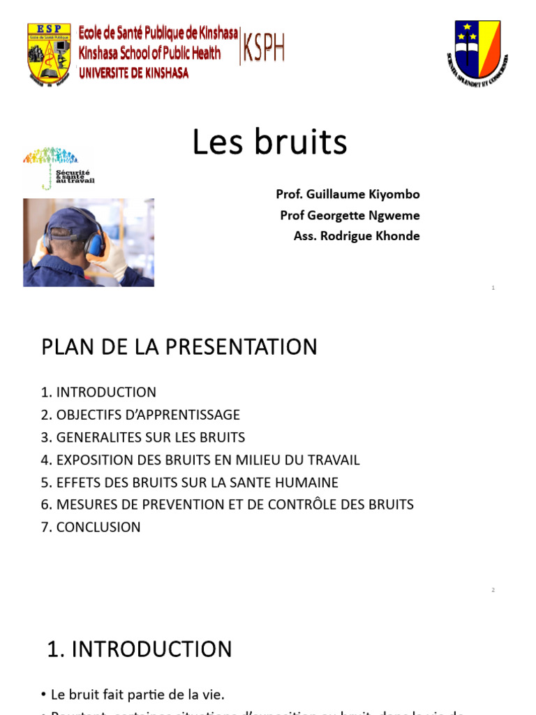 Impact des Bruits sur la Santé au Travail | PDF | Bruit | Son