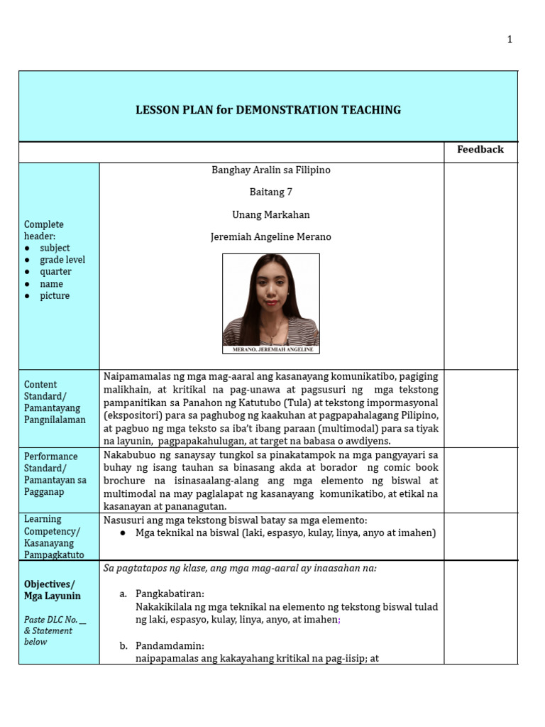 E1 - MERANO - Lesson Plan | PDF