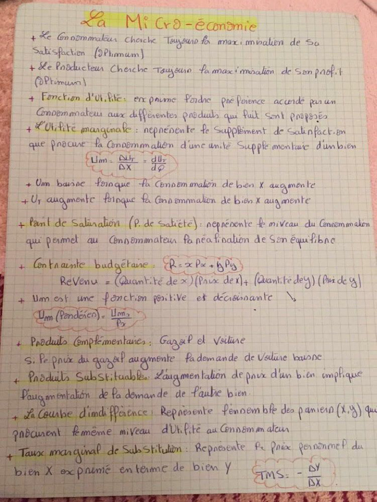 Resume Micro 1 | PDF