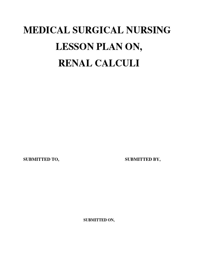 lesson plan 6 | PDF | Kidney | Urinary System