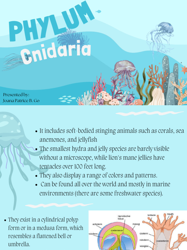 Yellow Retro Brainstorm Presentation | PDF | Venomous Animals | Zoology