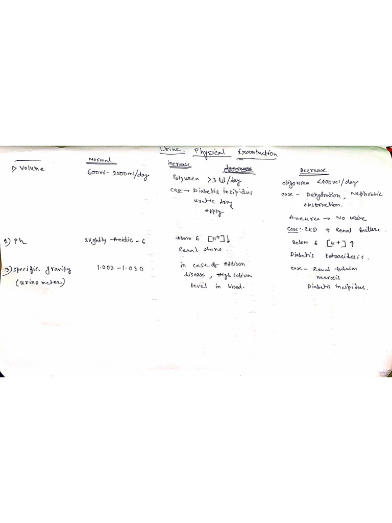 Kidney Practical | PDF