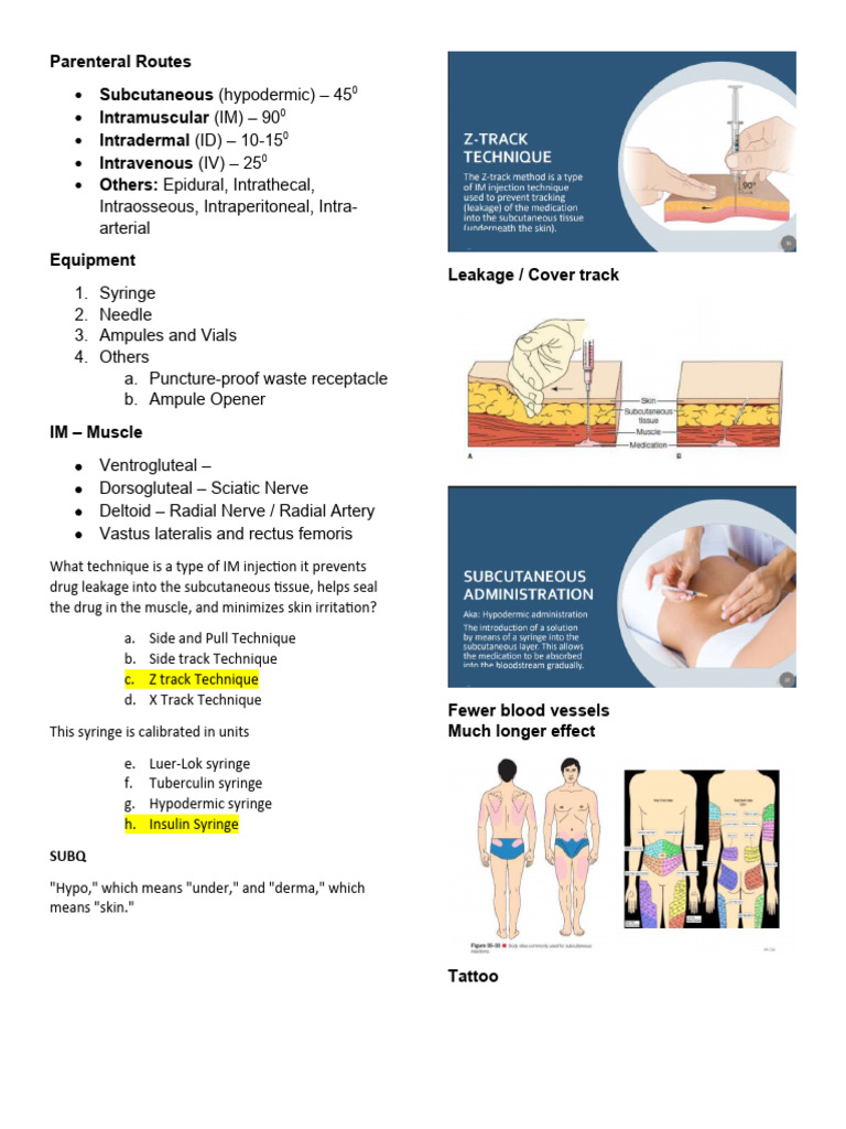 Parenteral Medication | PDF