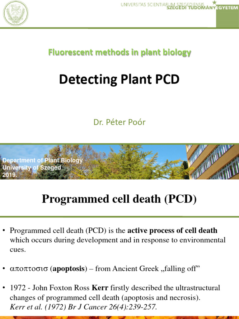 PCD in Plants | PDF | Staining | Biochemistry