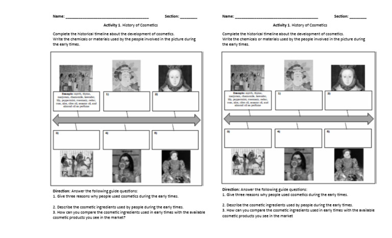 Hist Cosmetics Worksheet | PDF