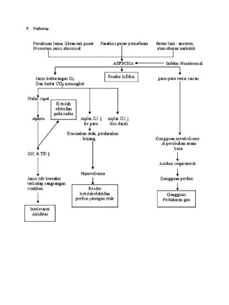 Pathway Asfiksia | PDF