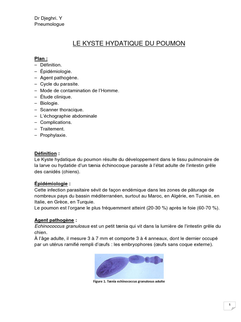 Kyste Hydatique Pulmonaire: Guide Expert | PDF | Spécialités médicales ...