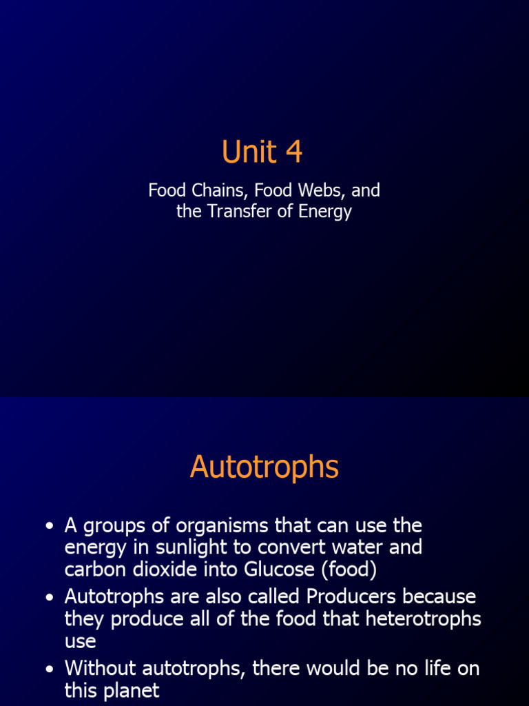 Food Chains and Energy Transfer Explained | PDF | Food Web | Biology