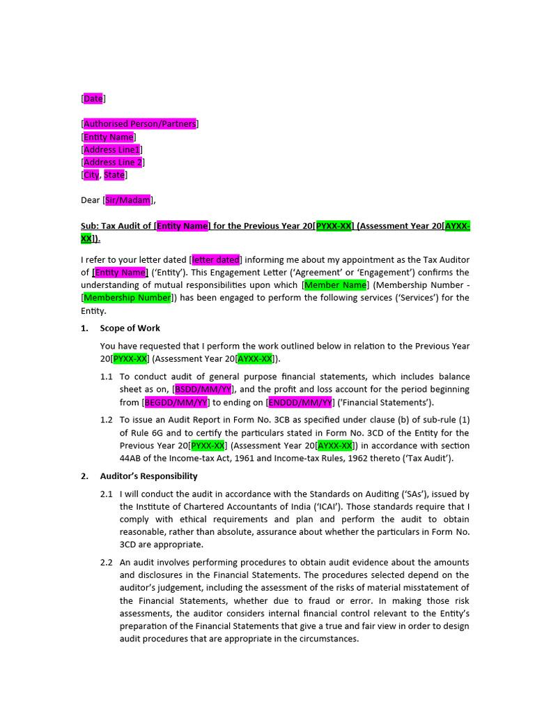 EL Tax Audit Form 3CB Individual | PDF | Audit | Financial Audit