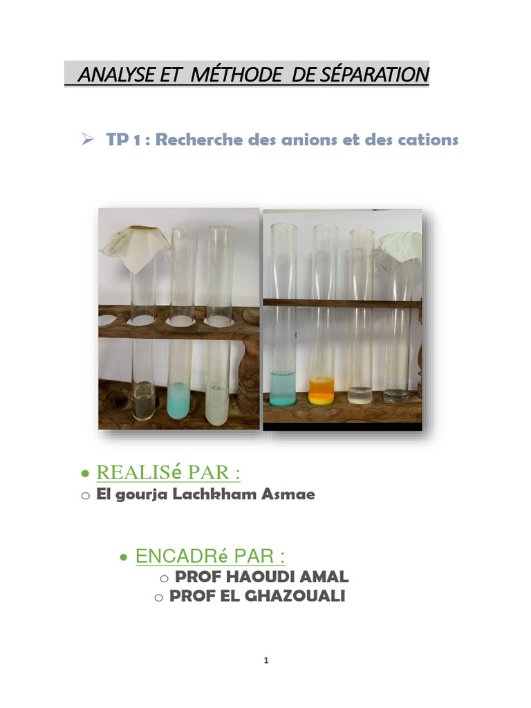 Recherche des Ions : Anions et Cations | PDF