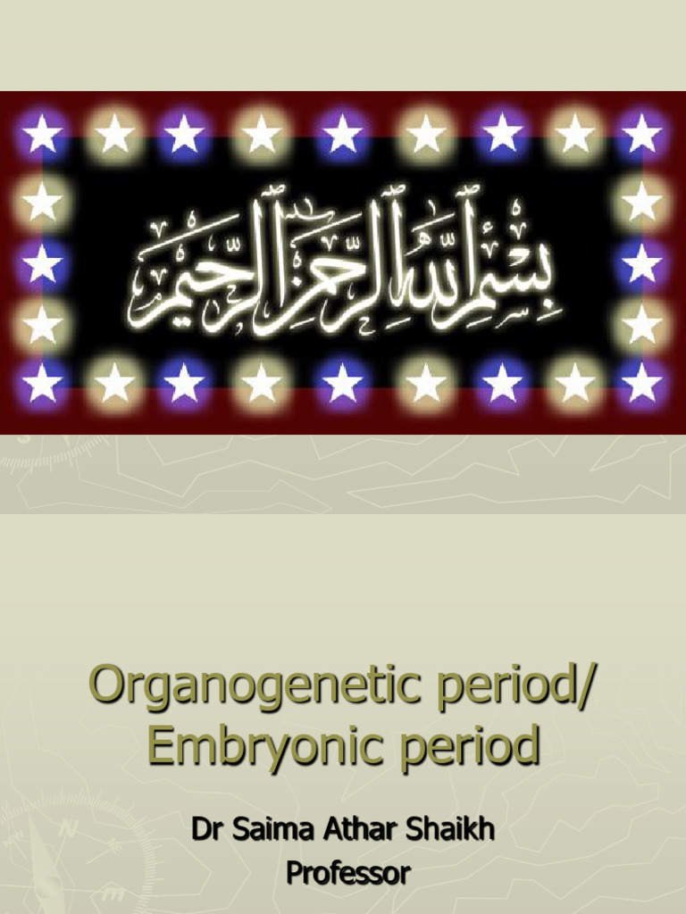 Embryonic Period Folding of Embryo | PDF | Embryo | Anatomy