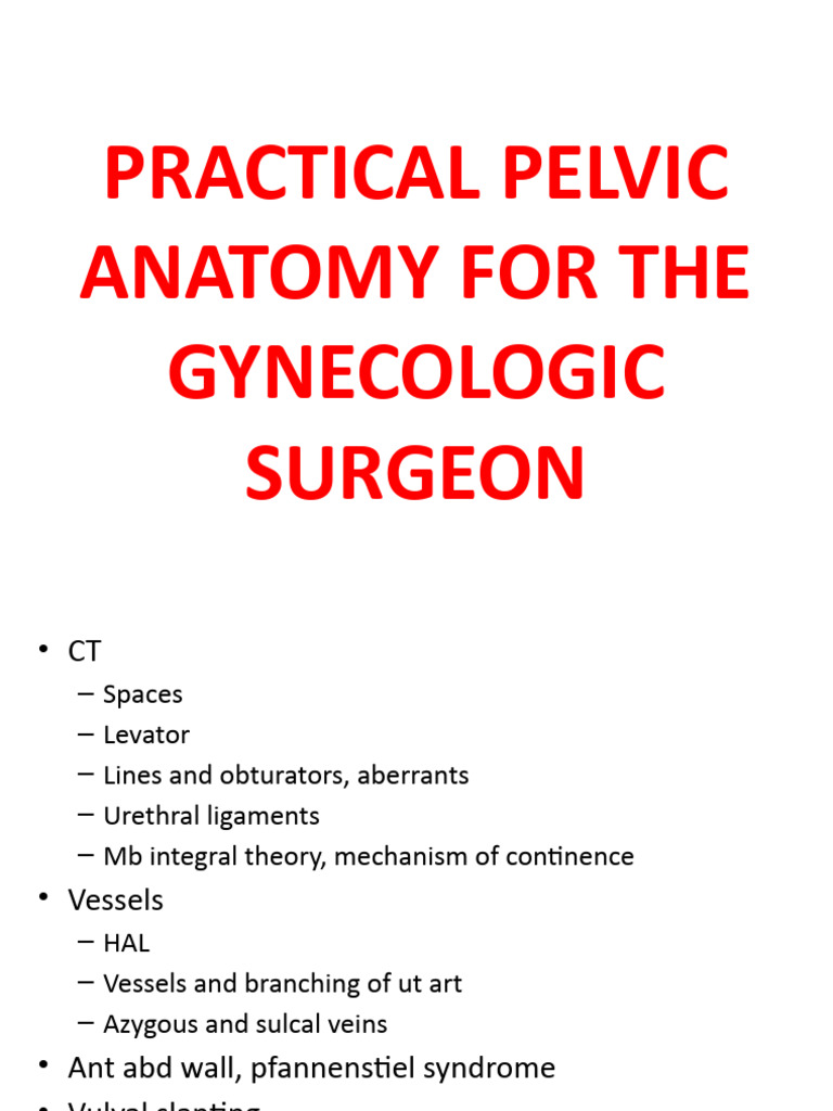 Pelvic Anatomy | PDF | Pelvis | Anatomy