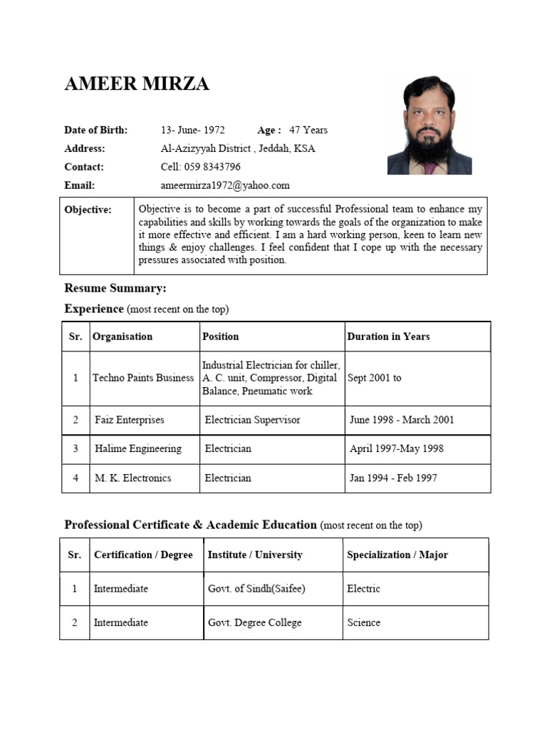 ameer cv | PDF