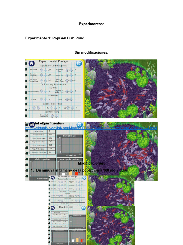 Experimentos 2 | PDF | Genotipo | Mutación