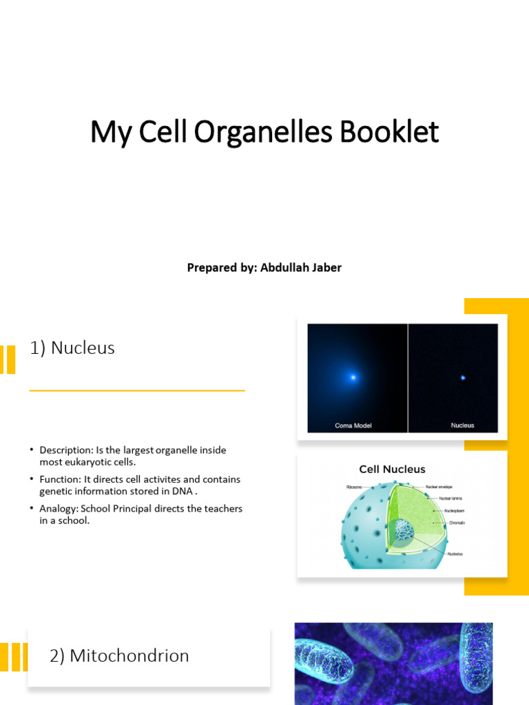 My Cell Organelles Booklet | PDF