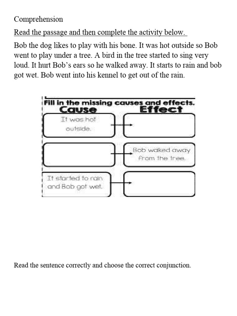 Bob the Dog: Reading Comprehension Activity | PDF