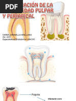 2da Clase - Endodoncia - Diagnostico Pulpar y Periapical | PDF | Odontología | Enfermedades y ...