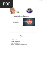 Anatomie Du Corps Genicule Lateral 2022 | PDF | Système visuel | Vision