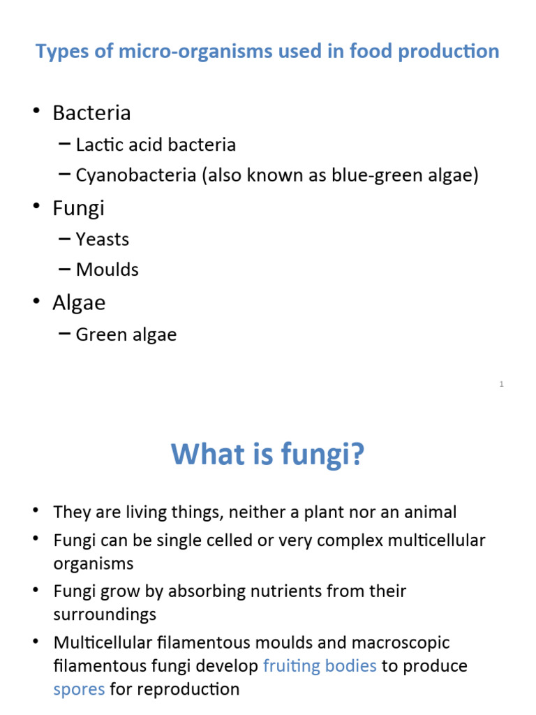 Use of Micro-Organisms in Food Production Eng | PDF | Cheese | Beer