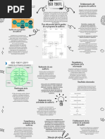 Iso 19000 | PDF | Auditoría | Gestión de la calidad