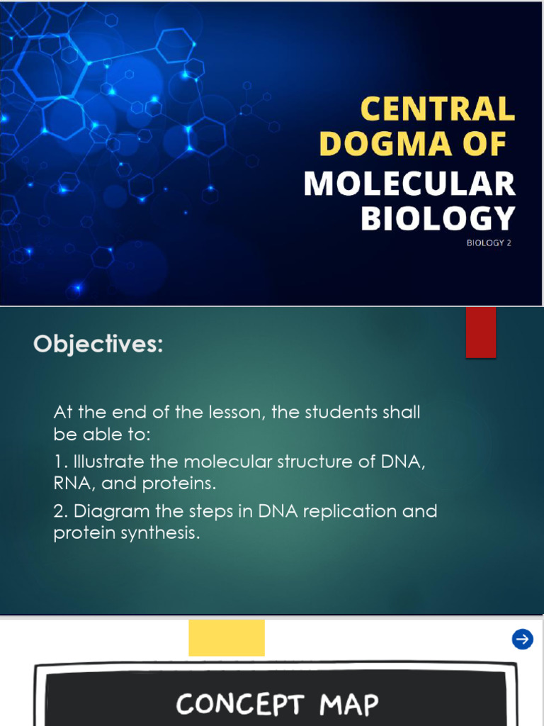 Molecular Biology for Students | PDF | Art | Science & Mathematics