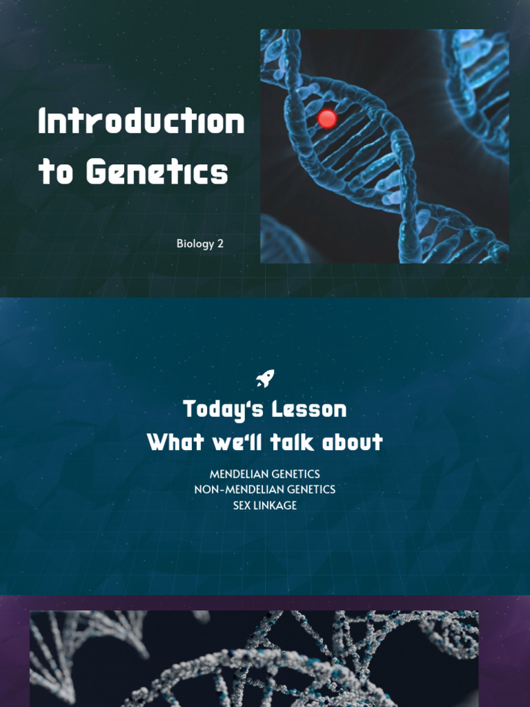 Introduction To Genetics | PDF | Dominance (Genetics) | Allele