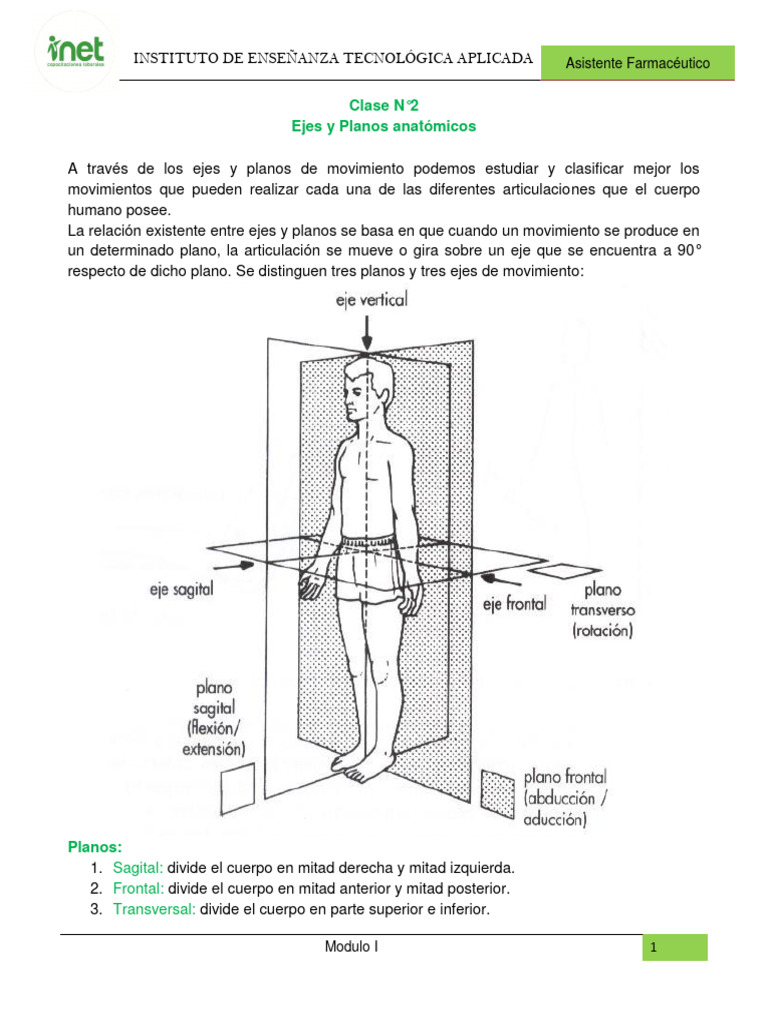 Clase N°2 Modulo 2 FARMACIA | PDF | Eje | Abdomen