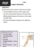 Upper Limb Bones Labeling Guide | PDF | Musculoskeletal System | Human ...
